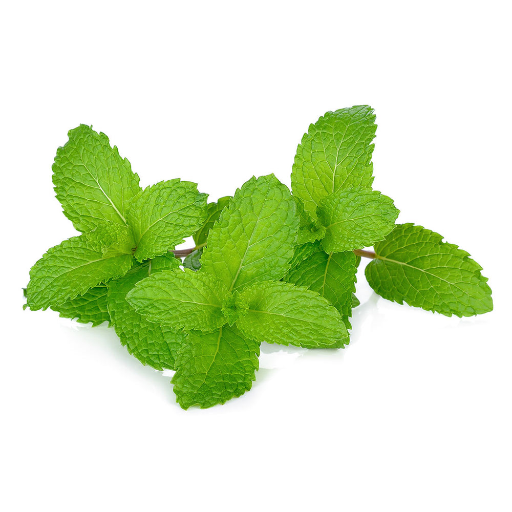 M-Ingredient – The Man Company