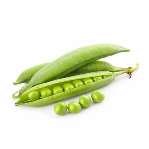 A-Ingredient – The Man Company