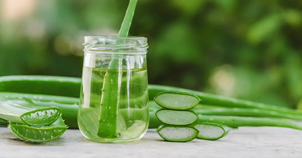 Want to know the secret powers of Aloe Vera? – The Man Company