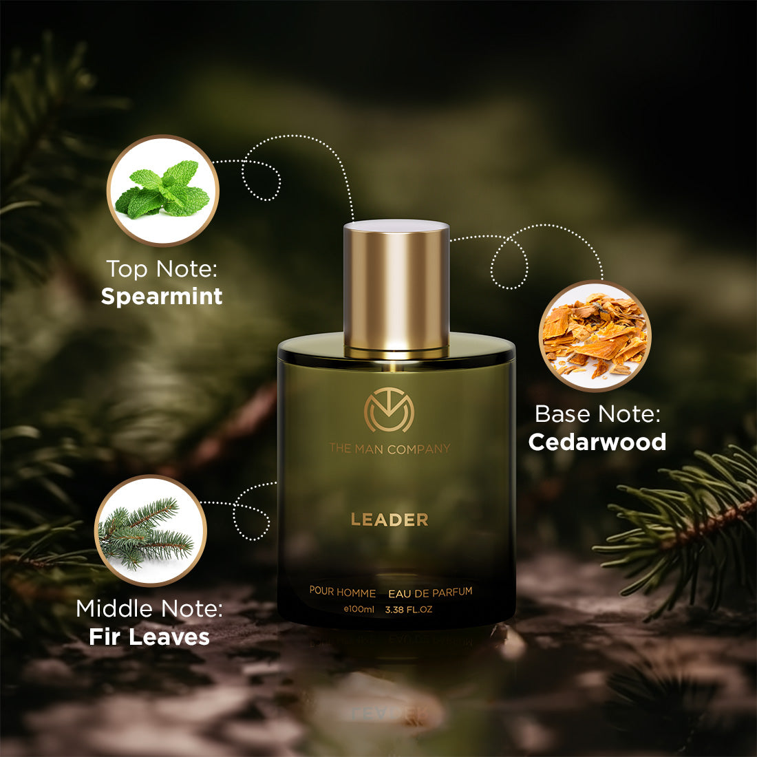 Eau De Parfum For Men | Perfume For Men |The Man Company