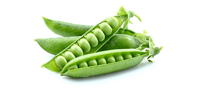 Hairfall Control 2-in-1 Shampoo & Conditioner | Power Of 10 Botanicals ...