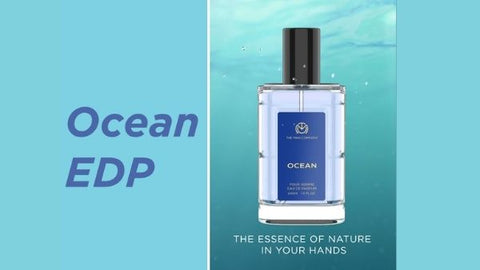 Ocean Perfume | Eau De Perfume for Men | The Man Company